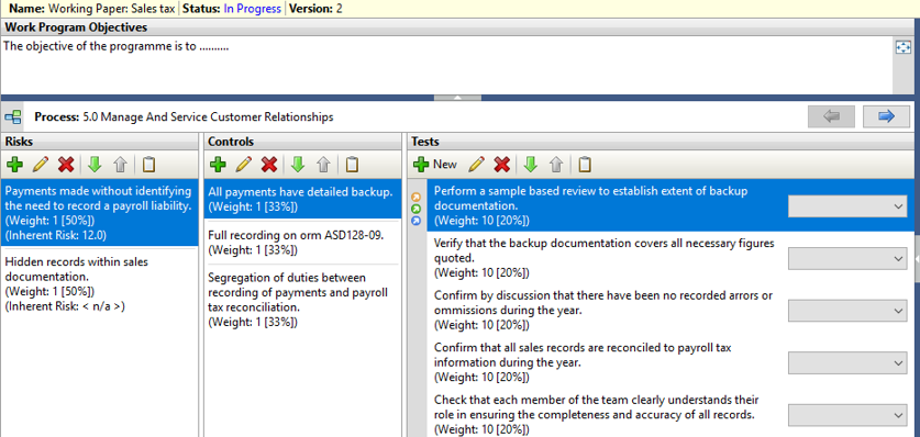 Work Programme Template design settings – Internal Audit MK